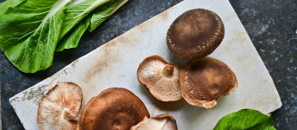 Hongo shiitake: fortalece el sistema inmune y previene el cáncer — FMDOS