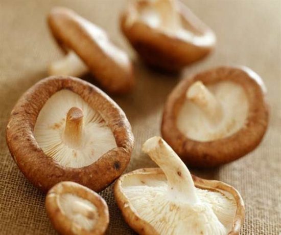 Hongo shiitake: fortalece el sistema inmune y previene el cáncer — FMDOS