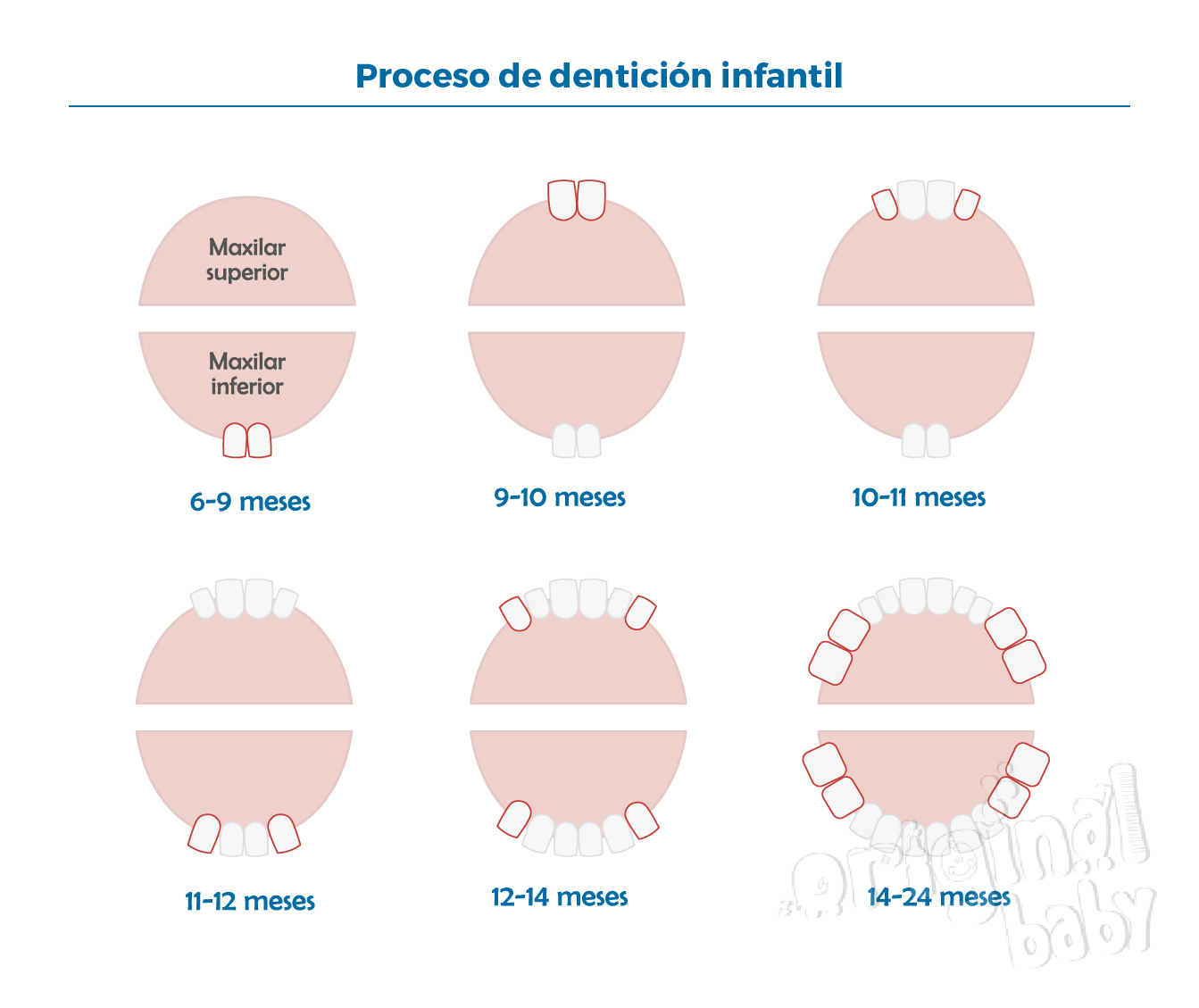 ¿Tu hijo tiene sus primeros dientes? Conoce todo sobre la dentición — FMDOS