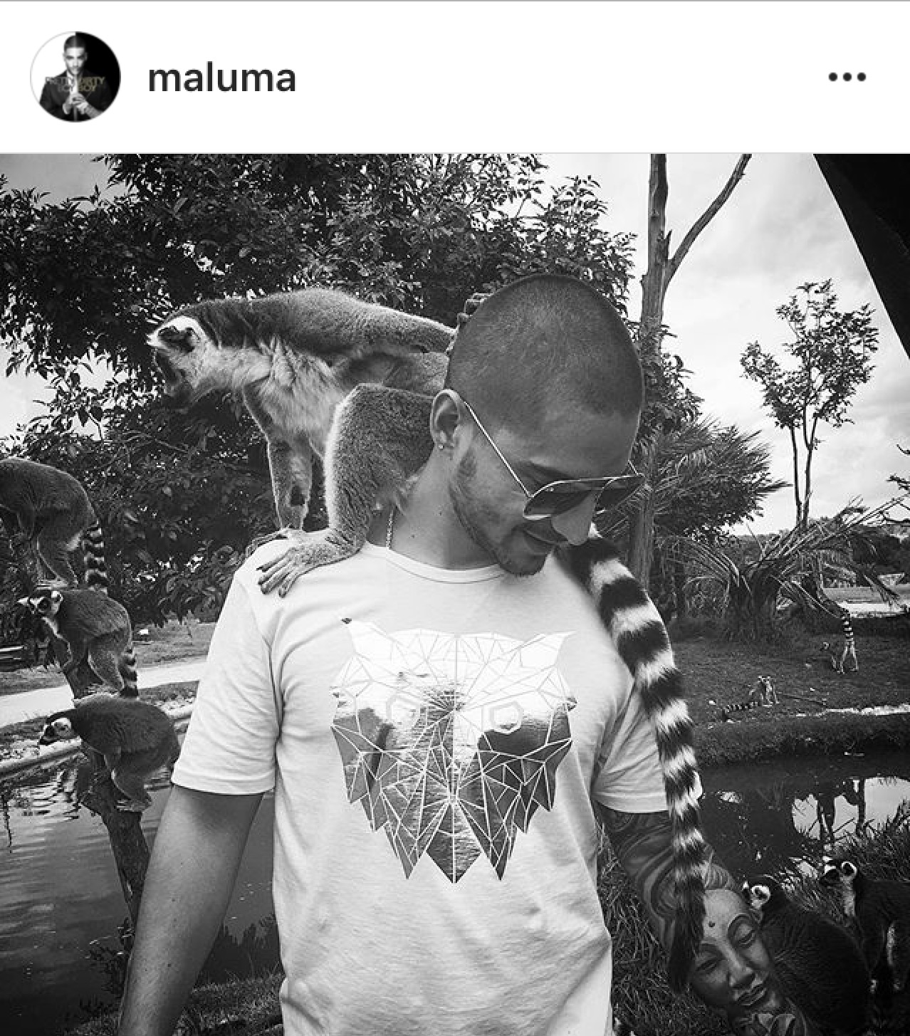 ¡Se pasó! El increíble logro de Maluma — FMDOS