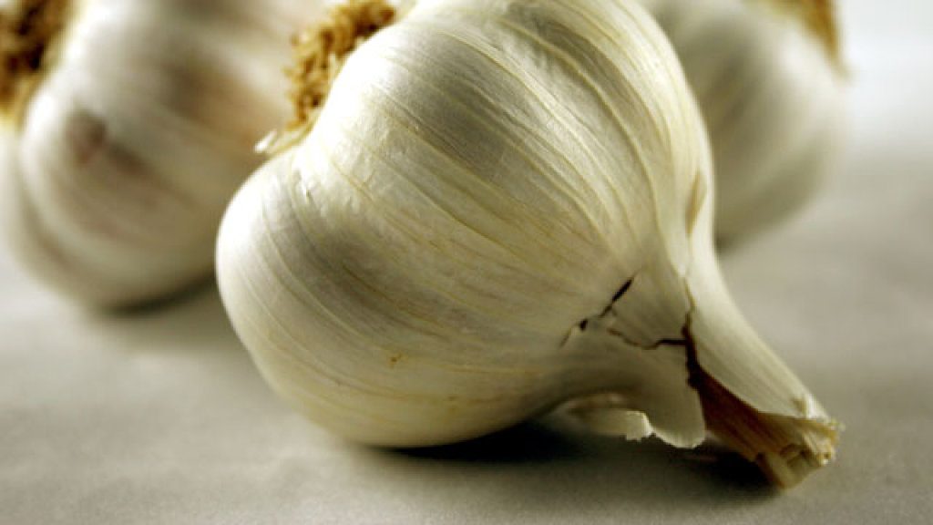 Los secretos del ajo chilote: Recetas y beneficios de este superalimento