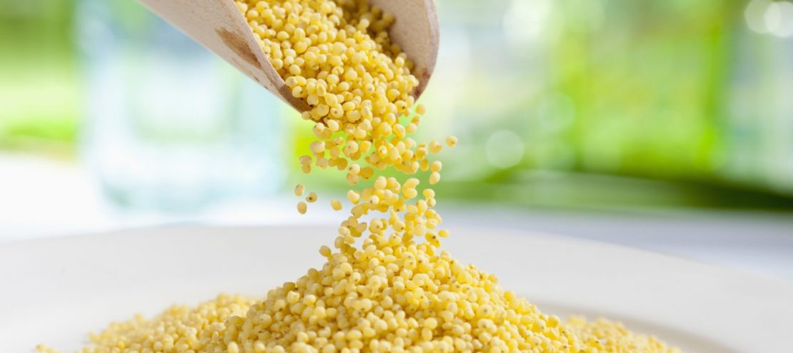 Mijo, recetas y beneficios de este increíble y versátil cereal