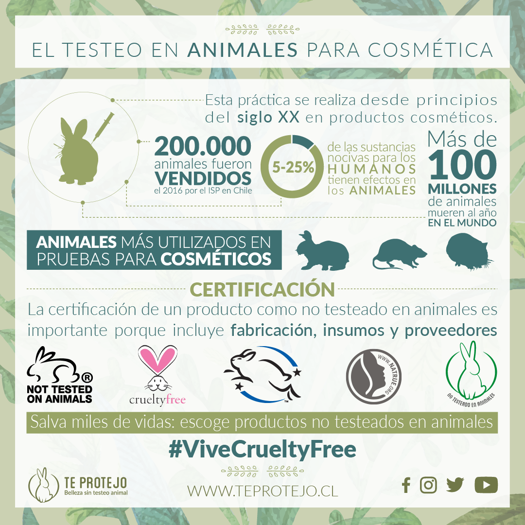 ONG Te Protejo conmemora el Día Mundial del animal de laboratorio