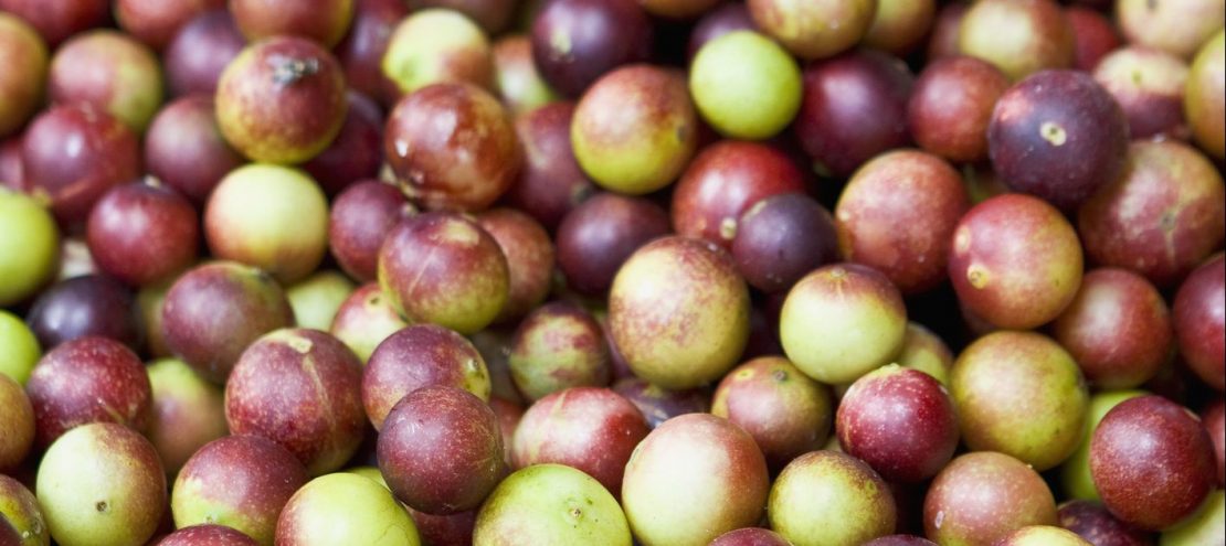 Camu camu: recetas y beneficios del oro rosado del Amazonas