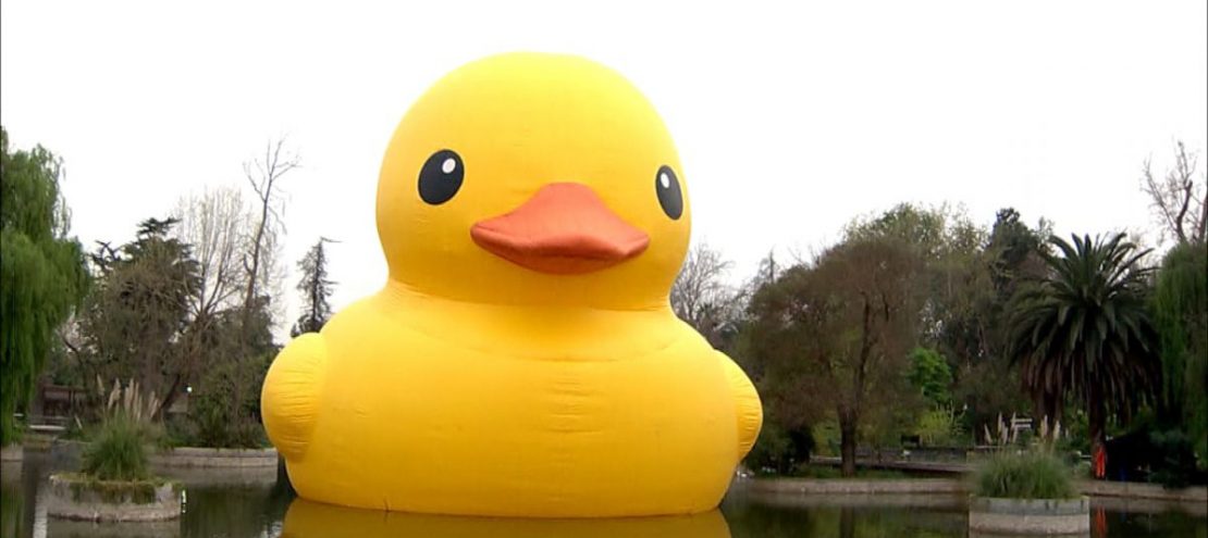 Los mejores memes que nos dejó el paso del pato gigante por nuestro país