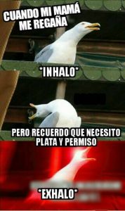 ¿Las habías visto? Estas son las mejores versiones del popular meme de ...