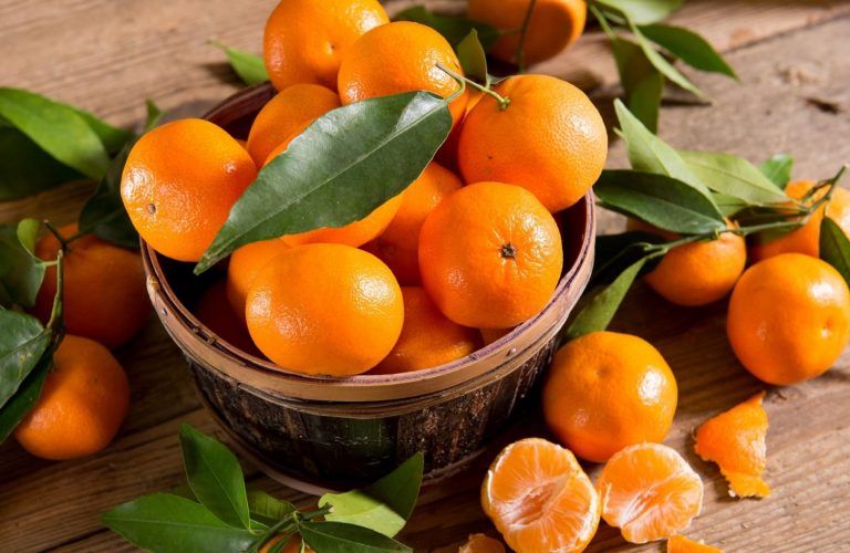 ¡Descubre las increíbles propiedades de la mandarina!