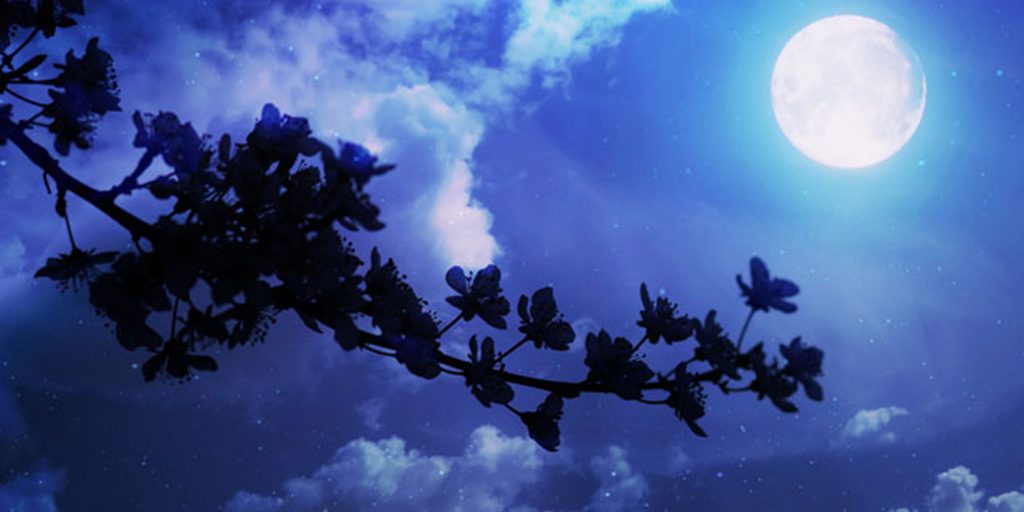 ¡Se viene la Luna de las flores! Conoce este fenómeno astronómico que ...