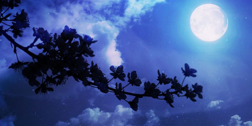 ¡Se viene la Luna de las flores! Conoce este fenómeno astronómico que ...