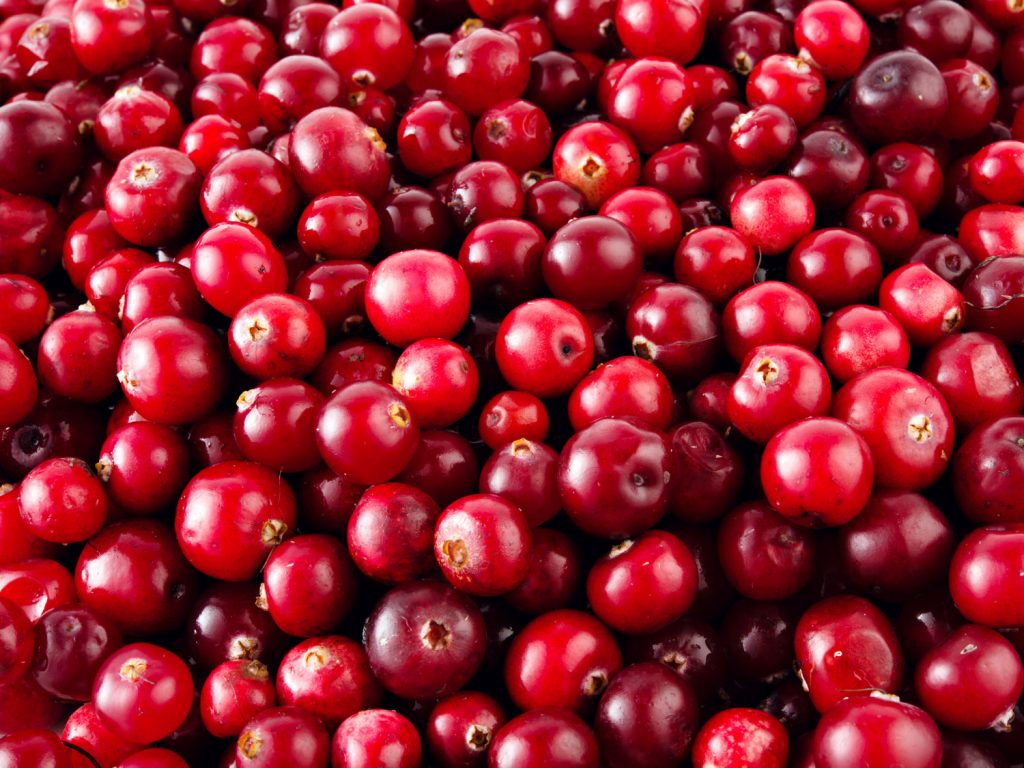Descubre los beneficios del cranberry y su diferencia con el arándano