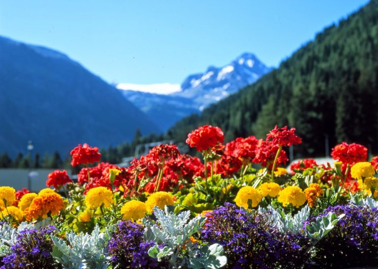 ¡Bienvenida Primavera! Este es el día y hora exacta en que comienza la ...