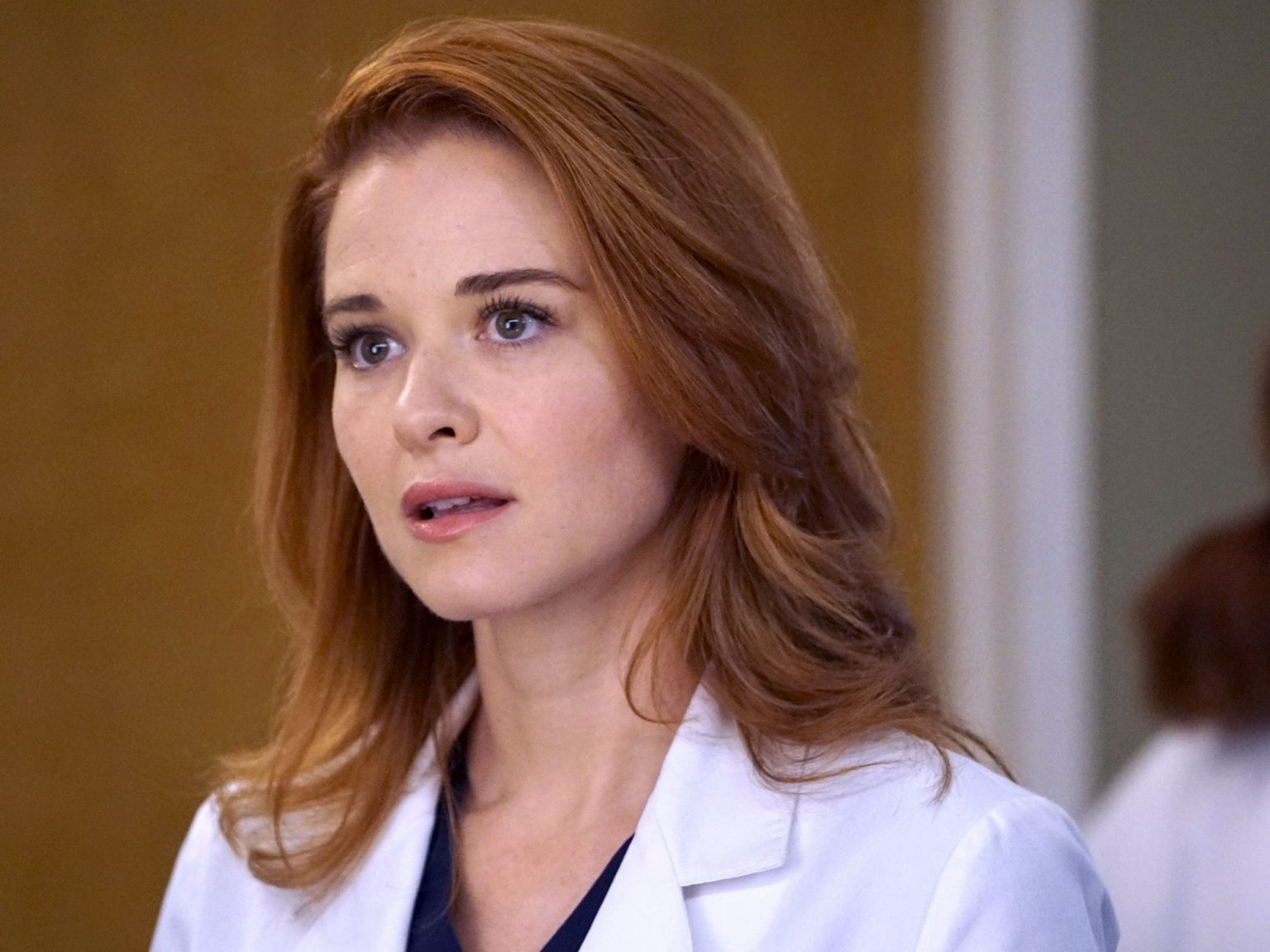 "Grey's Anatomy": la querida doctora que regresará en la temporada 17