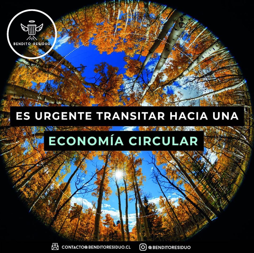 Día del Reciclaje: Hay que promover una economía circular y regenerativa