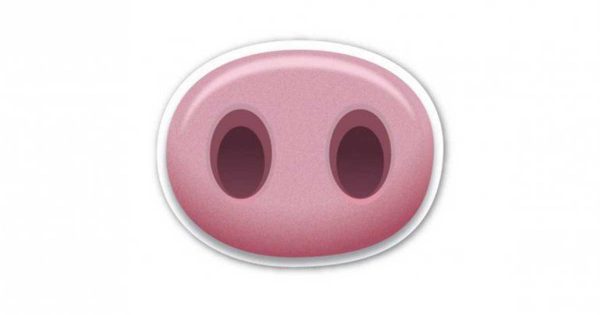 Emoji de WhatsApp: el significado oculto del hocico de chancho
