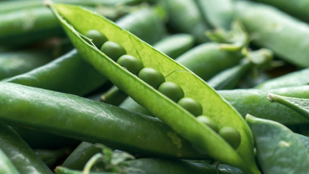 Arvejas: ¿Cuáles son sus beneficios?