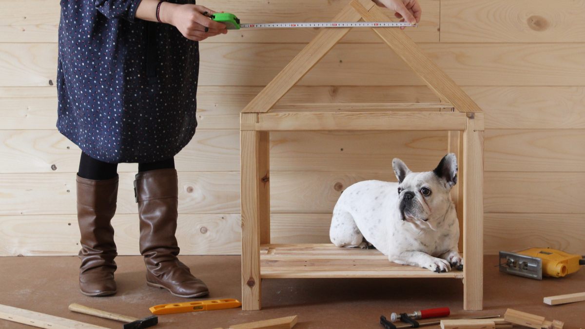 Tips para elegir el mejor hogar para tus mascotas