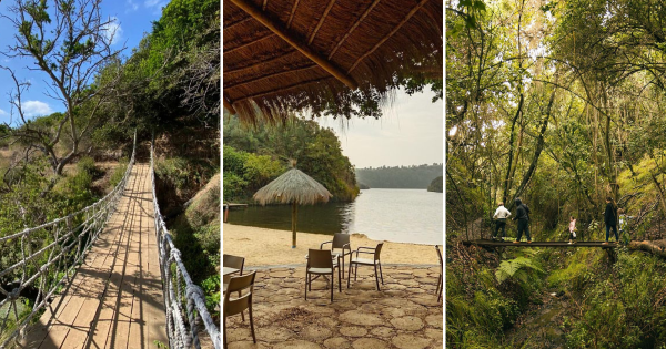 Parque Tricao, mucho más que un aviario