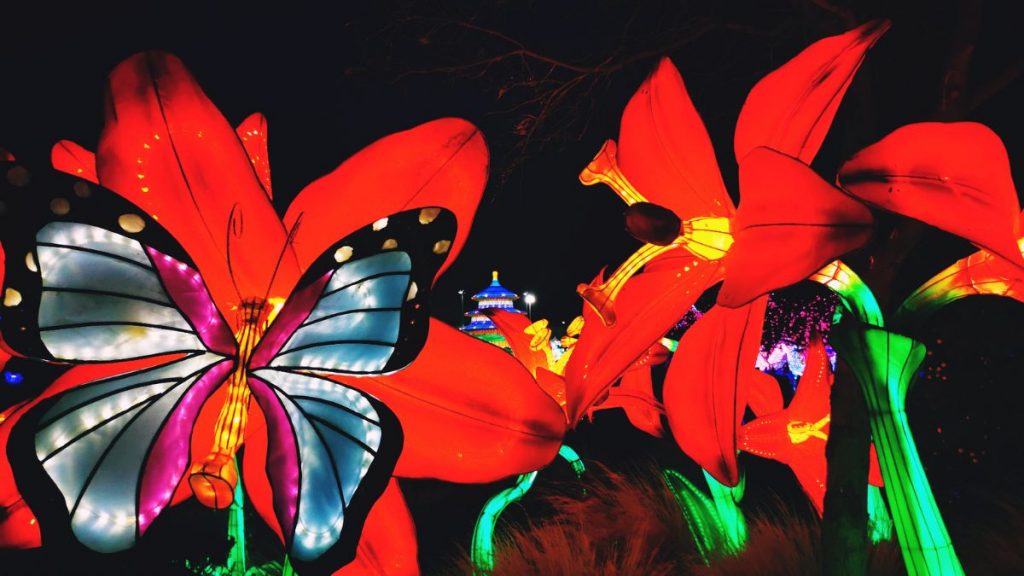 ¡Fesiluz 2023 ya tiene tiene fecha!: Cerrillos y Las Condes serán los ...