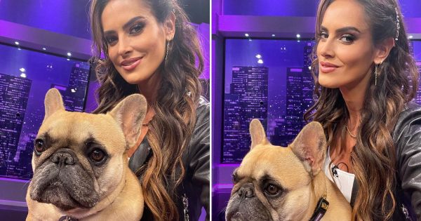 “Noche terrorífica”: Adriana Barrientos y la terrible noche que vivió con su mascota