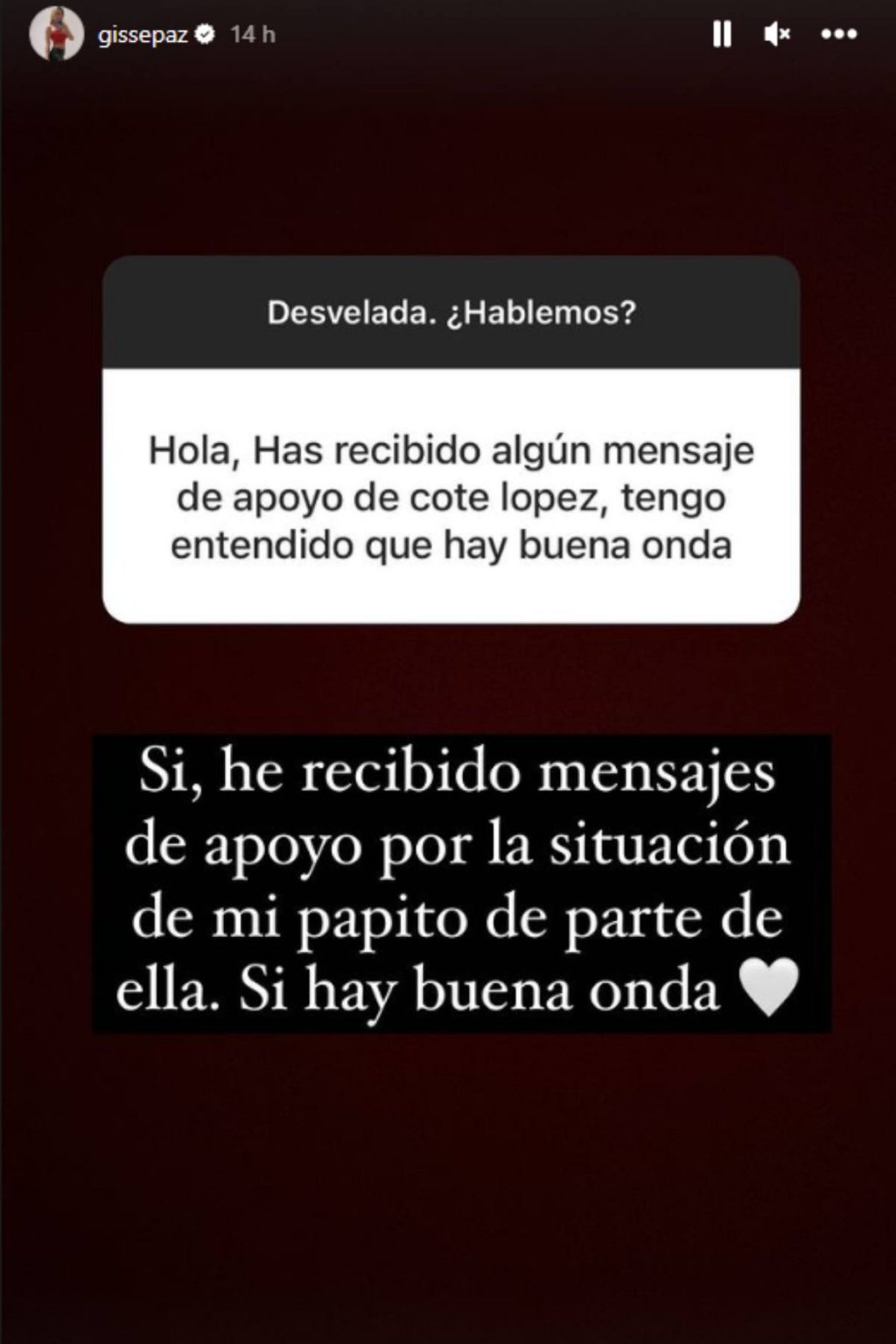 ¿Se refiere a las hermanas de Pinilla? Gissella Gallardo tiró indirecta ...