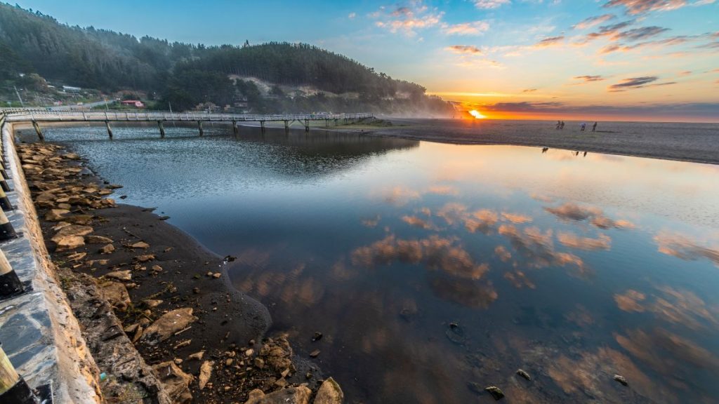 Rodeada de bosques y olas de seis metros: la playa del sur de Chile que ...