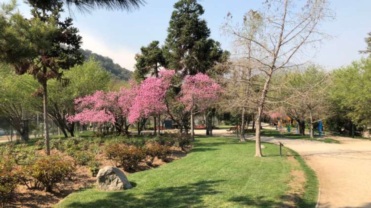 5 parques de Santiago donde puedes hacer un picnic para el Día de los ...