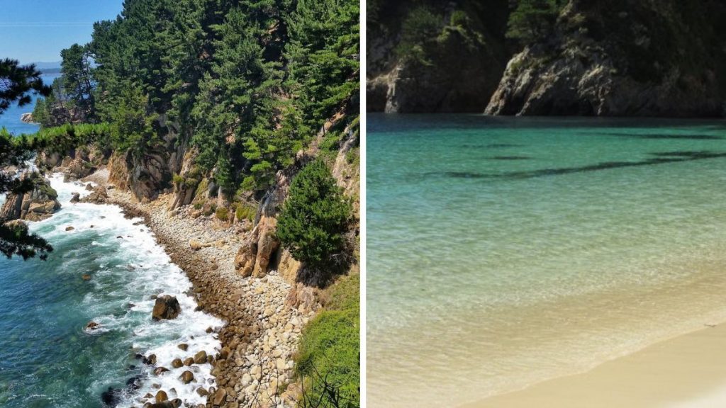 Aguas verdosas, variedad de aves y acantilados: Esta es la playa más ...