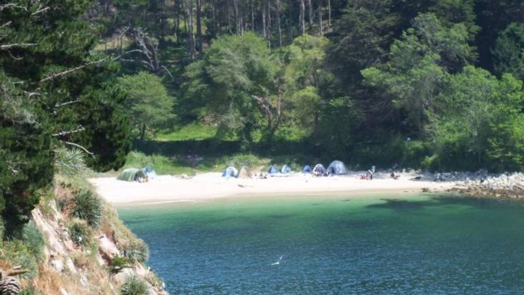 Aguas verdosas, variedad de aves y acantilados: Esta es la playa más ...