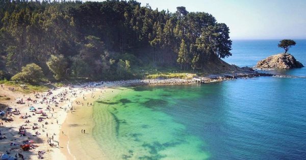 Aguas verdosas, variedad de aves y acantilados: Esta es la playa más ...