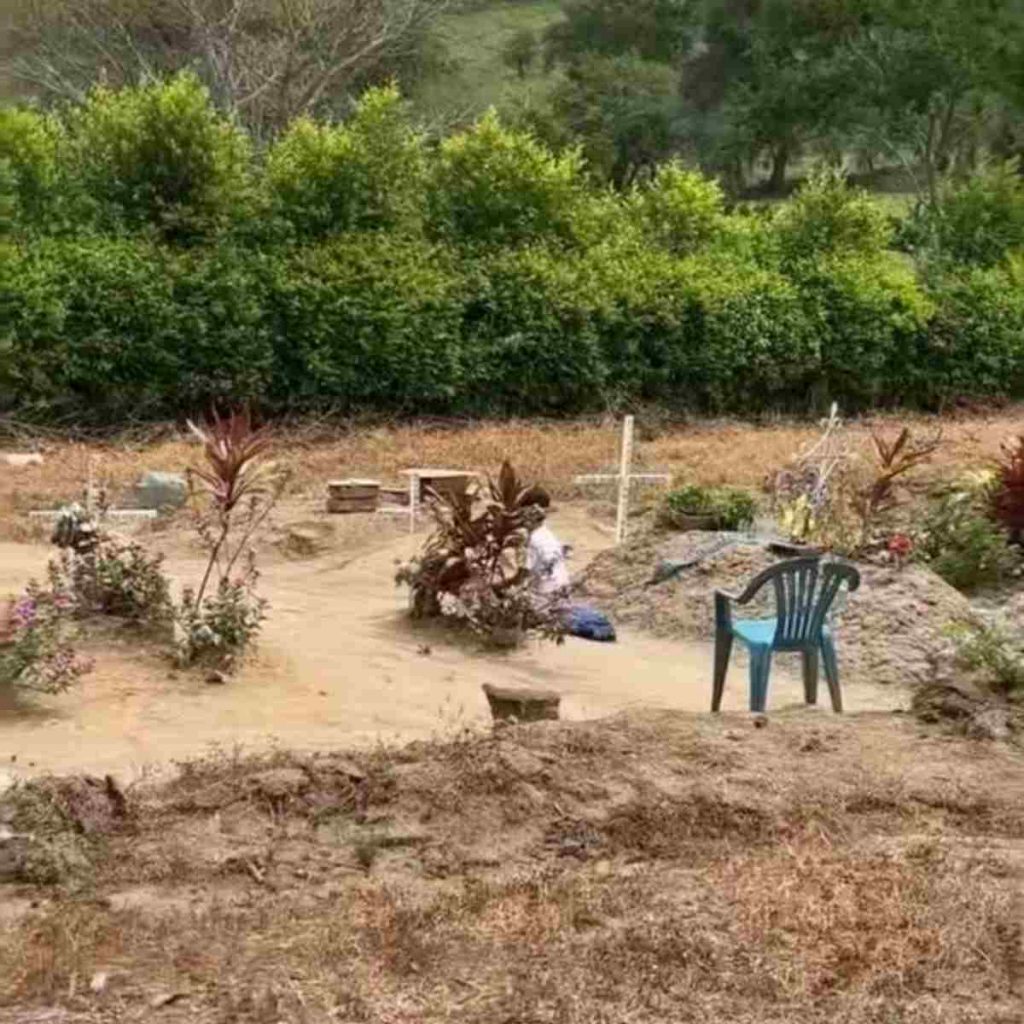 “Me hizo llorar esta historia”: Niño realiza sus tareas en la tumba de ...