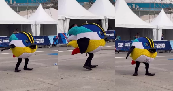 Qué pájaro es Fiu, la tierna mascota de los Juegos Panamericanos ...