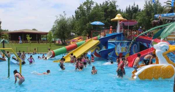 Piscina con olas, toboganes extremos y un pelicano gigante: el ...