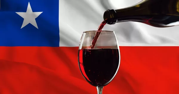Este es el único vino chileno que la rompe en prestigioso ranking de ...